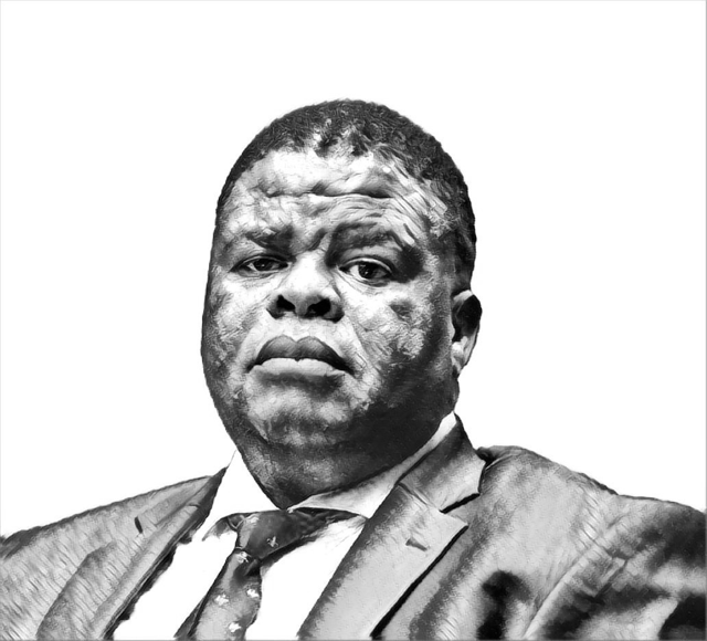 Zondo Explorer | News24
