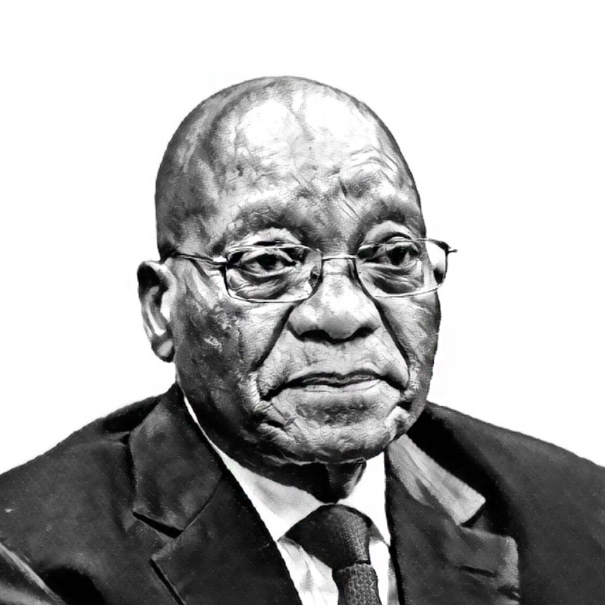 Zondo Explorer | News24