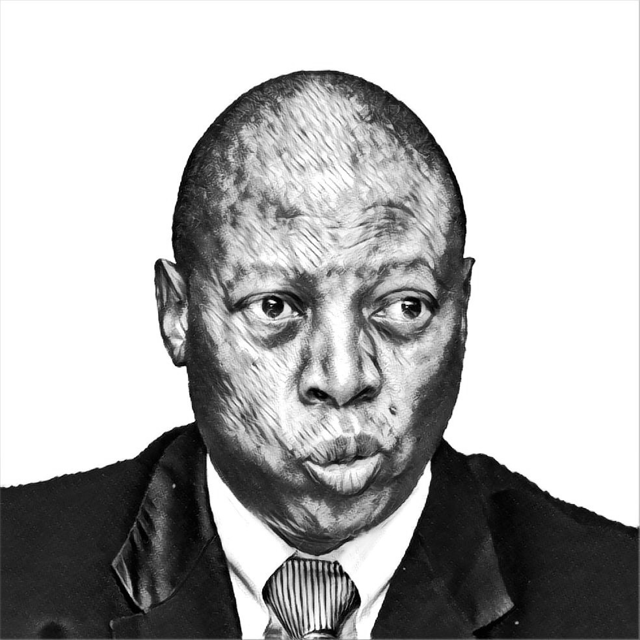 Zondo Explorer | News24